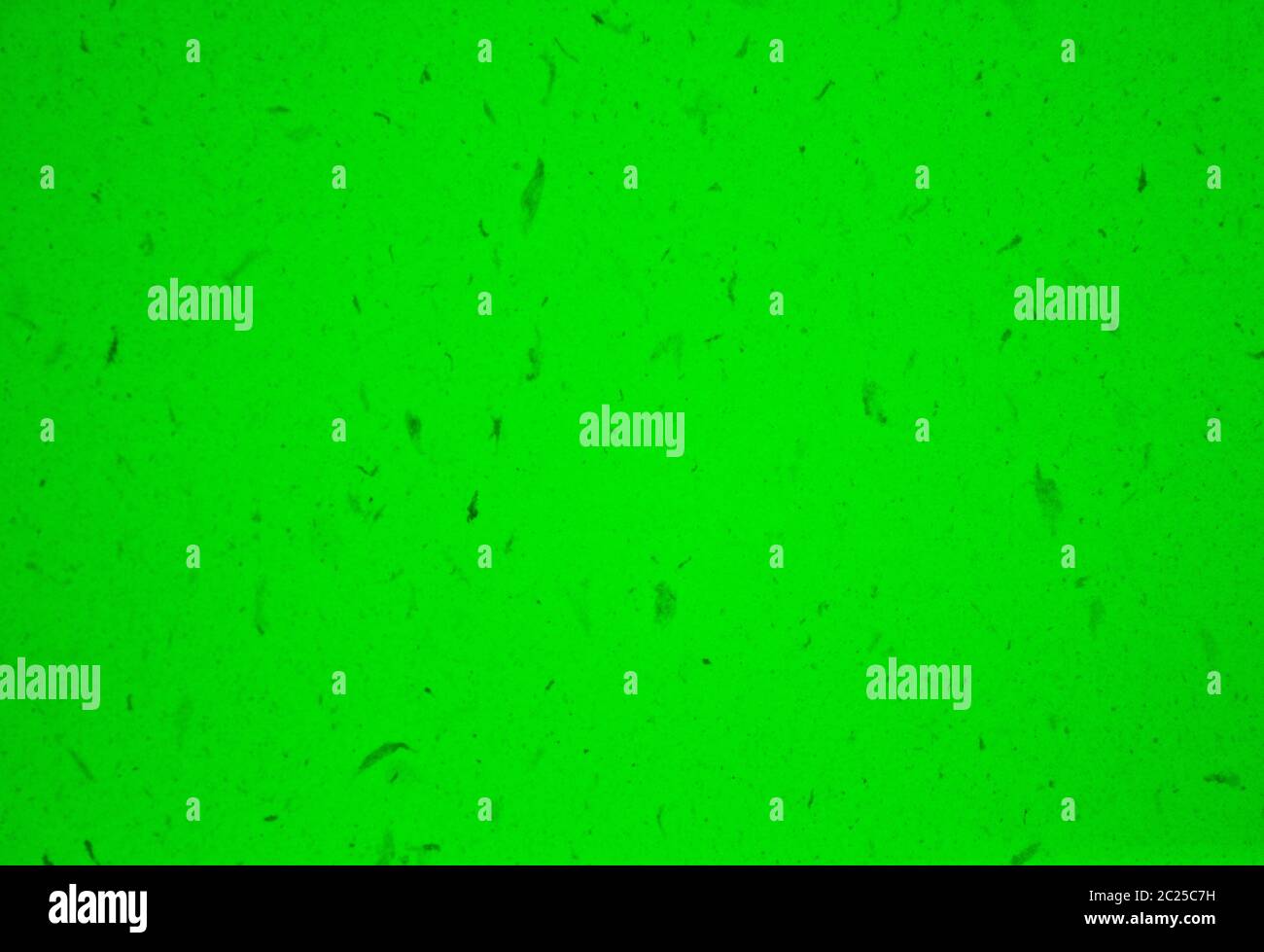 light green texture background for graphic design and web design Stock ...