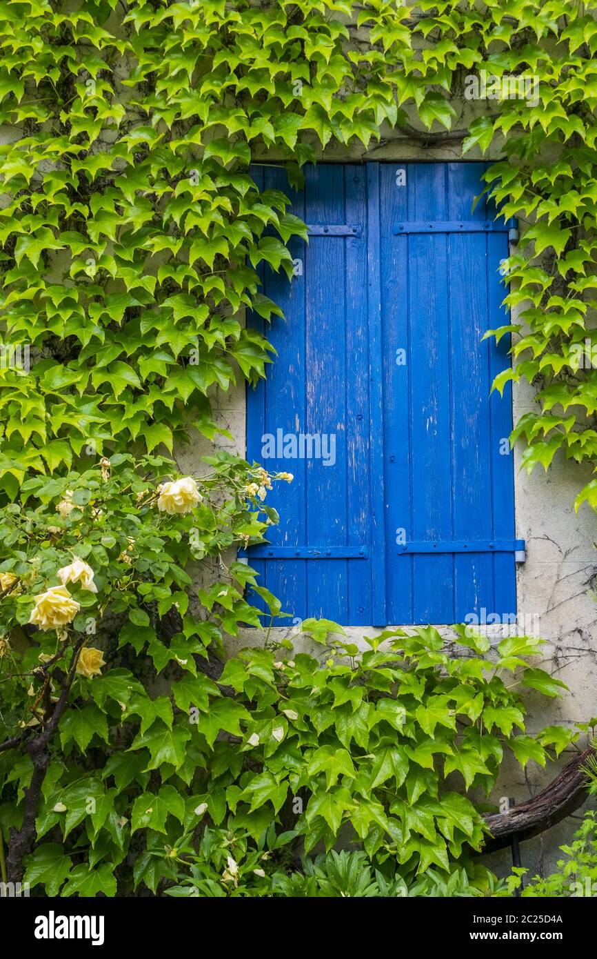 Blue yellow window hi-res stock photography and images - Alamy