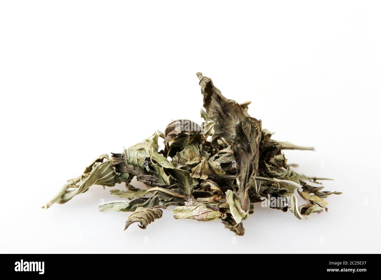 Mentha Is A Genus Of Plants In The Family Lamiaceae (Mint Family Stock ...