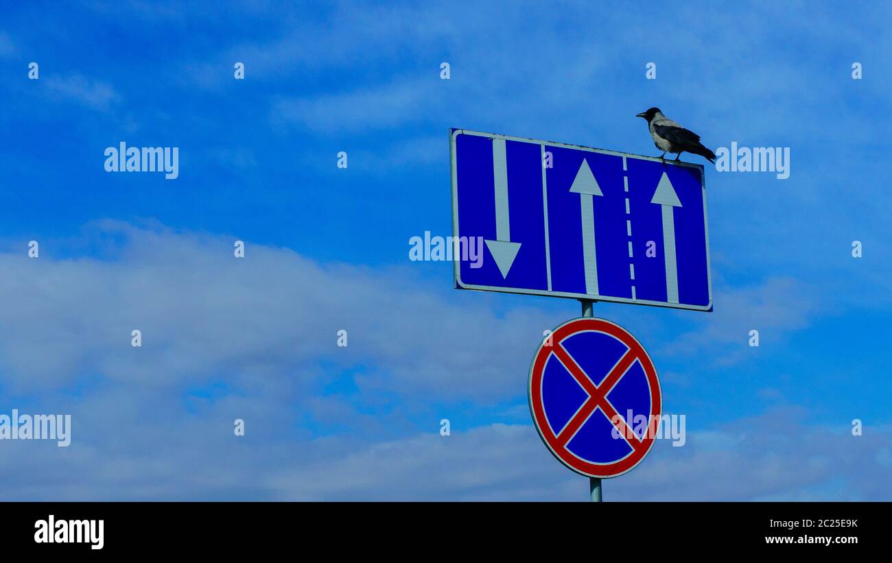 Raven On Sign High Resolution Stock Photography and Images - Alamy