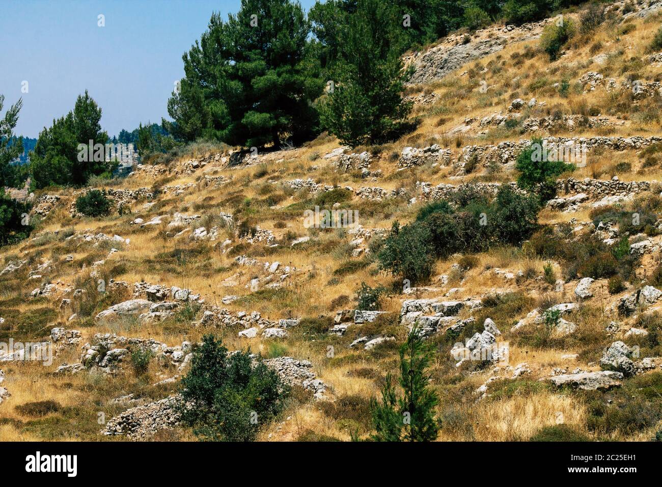Jerusalem Israel June 21, 2019 View of the landscape and nature at ...