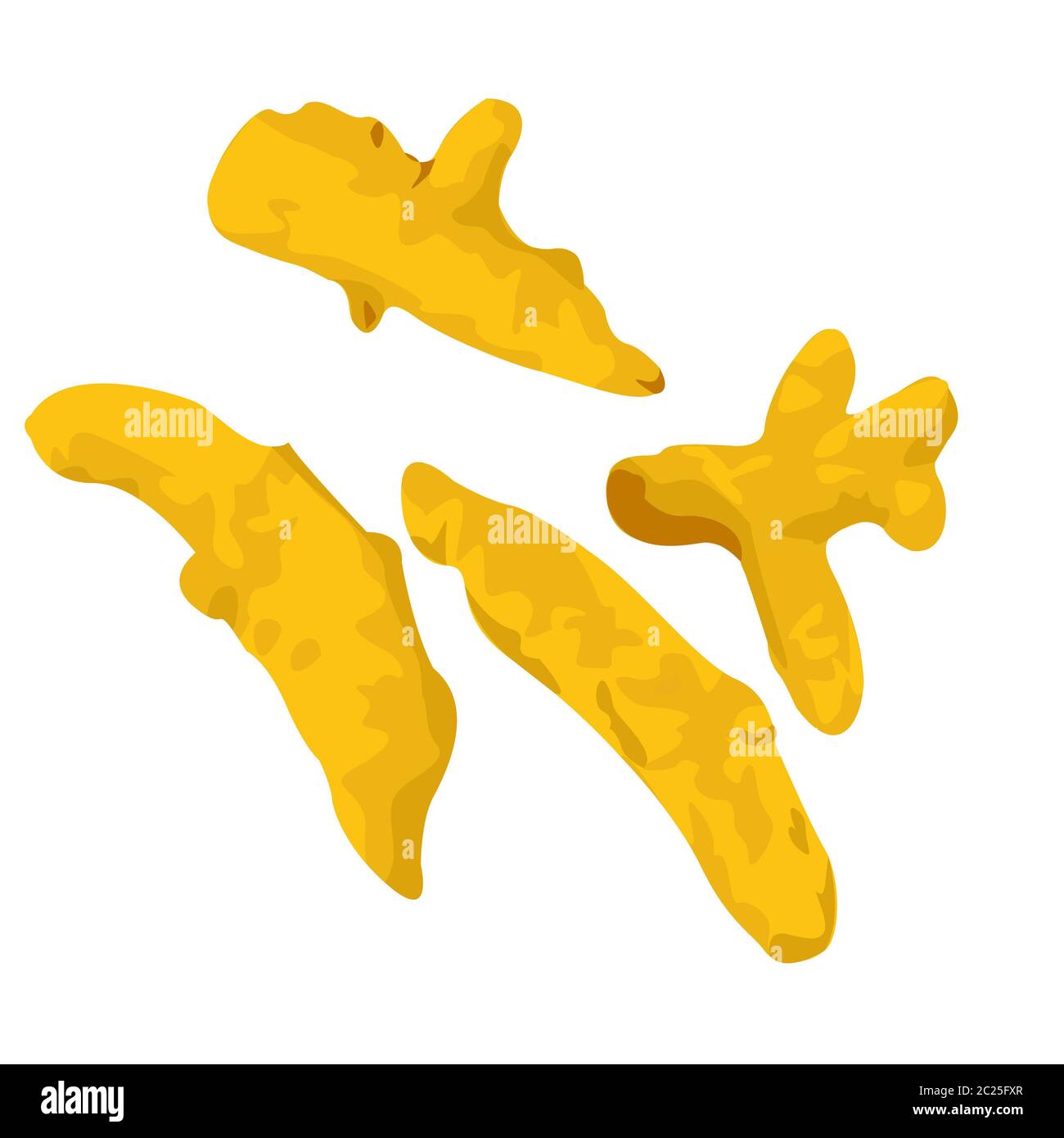 Turmeric roots vector illustration isolated Stock Photo - Alamy