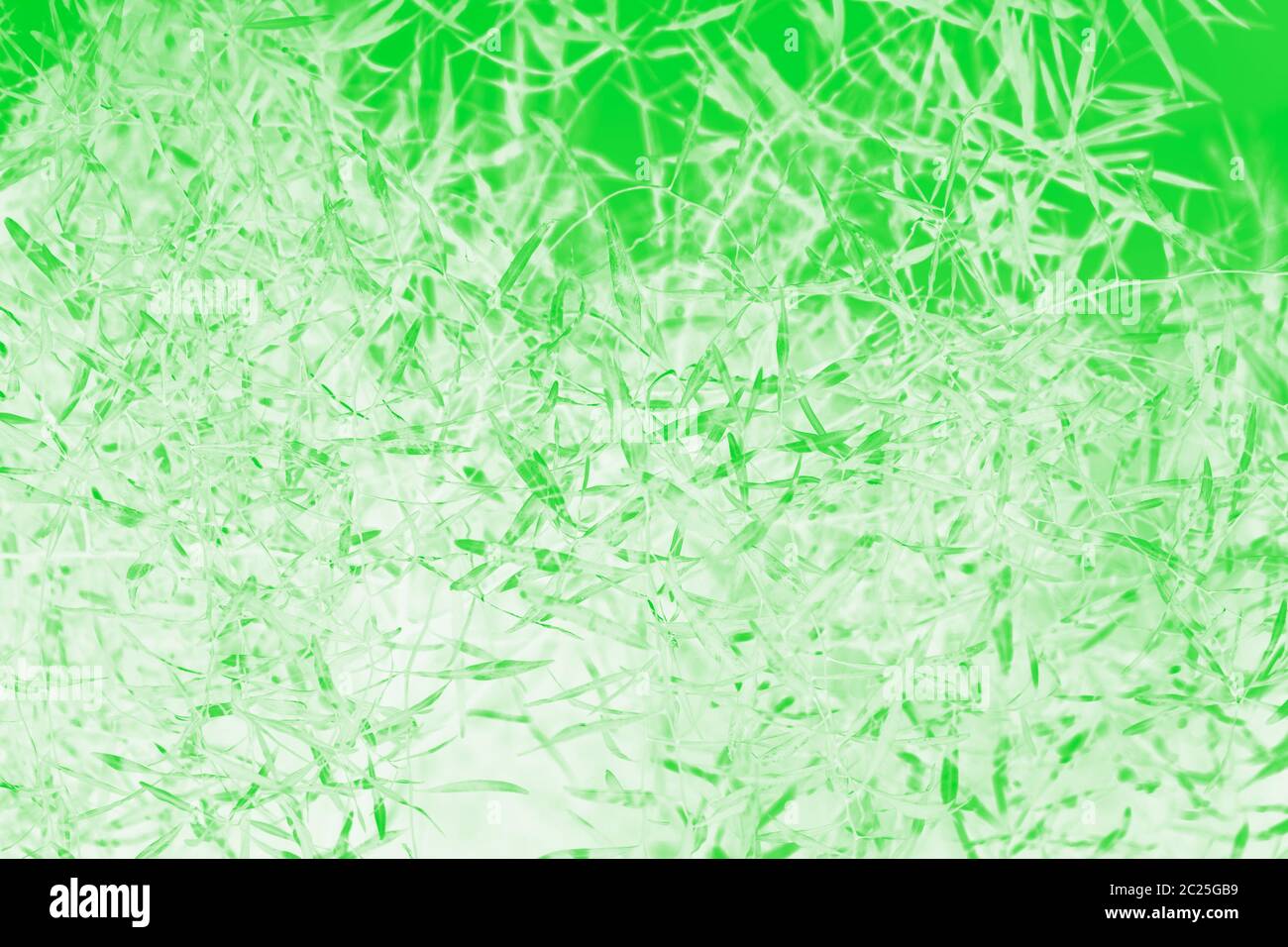 Green blurred abstract background with leaves pattern Stock Photo - Alamy