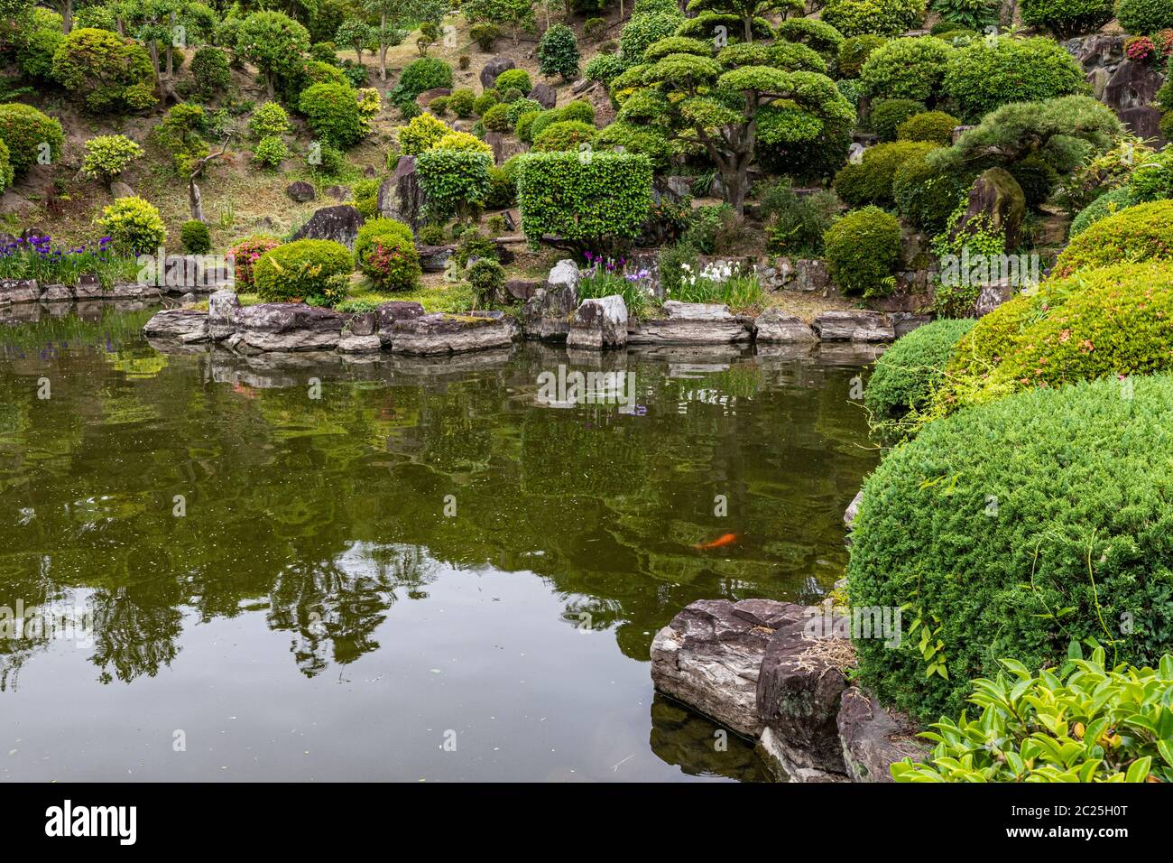 Goshoji Japanese Pond Garden - Midway up a small hill facing the Seto ...