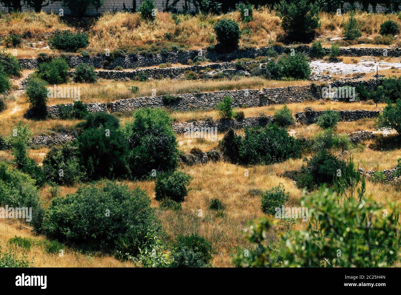 Jerusalem Israel June 21, 2019 View of the landscape and nature at ...