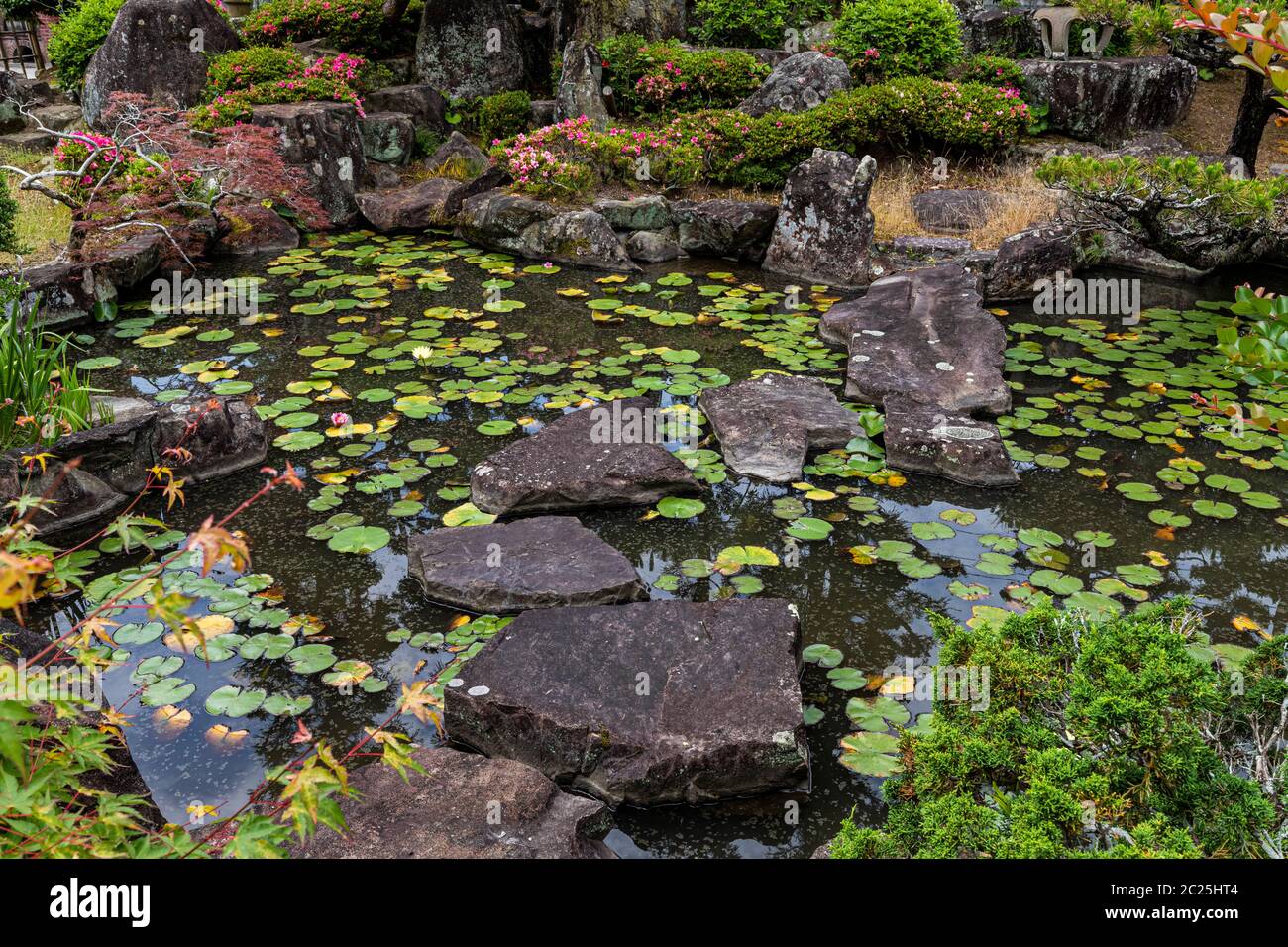 Sh ji hi-res stock photography and images - Alamy