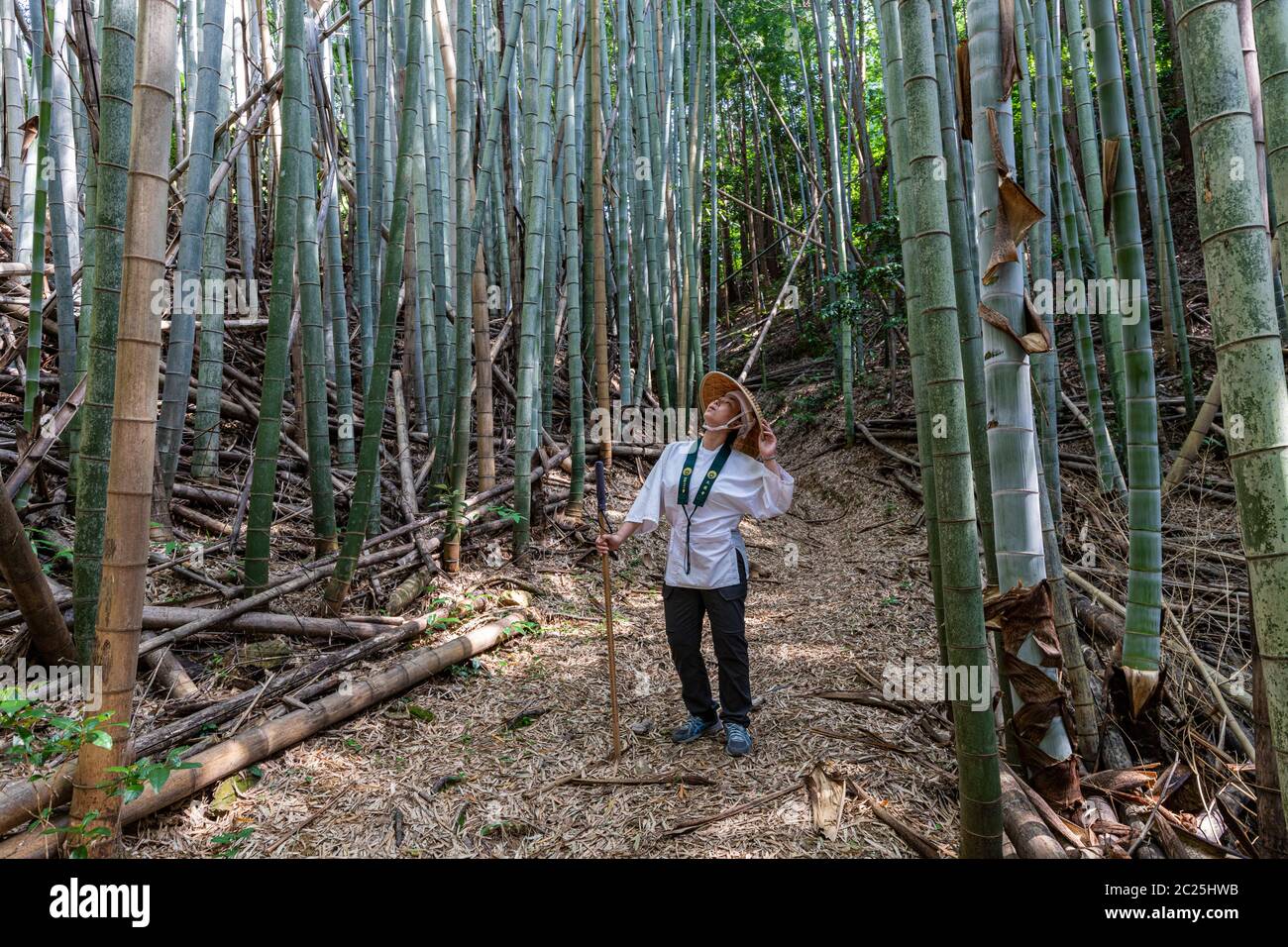 Japanese female henro hi-res stock photography and images - Alamy