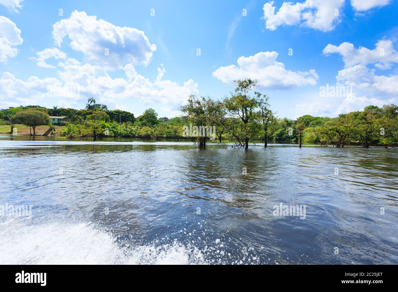 Panorama from Amazon rainforest, Brazilian wetland region. Navigable ...