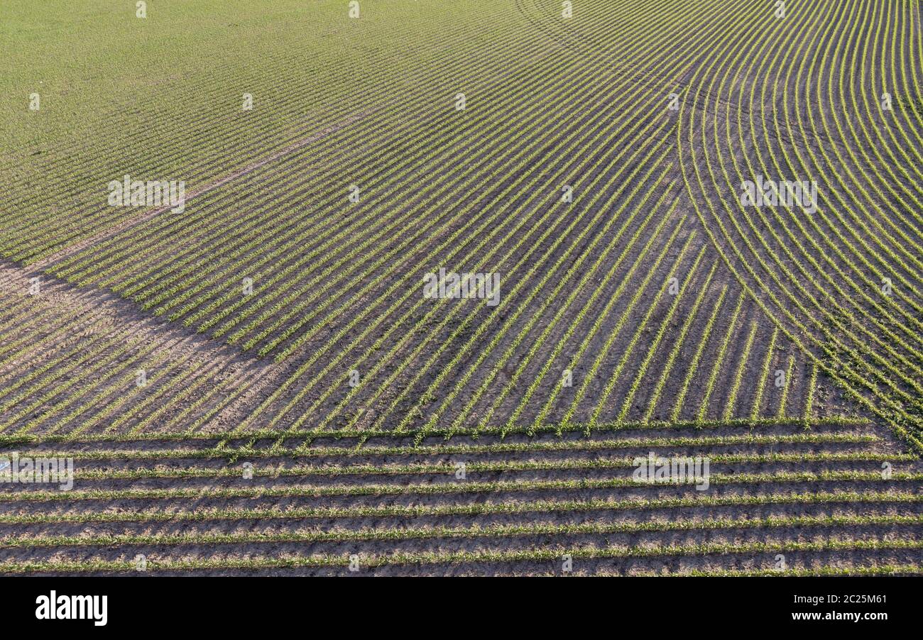 Aerial view of a Farming pattern Stock Photo - Alamy