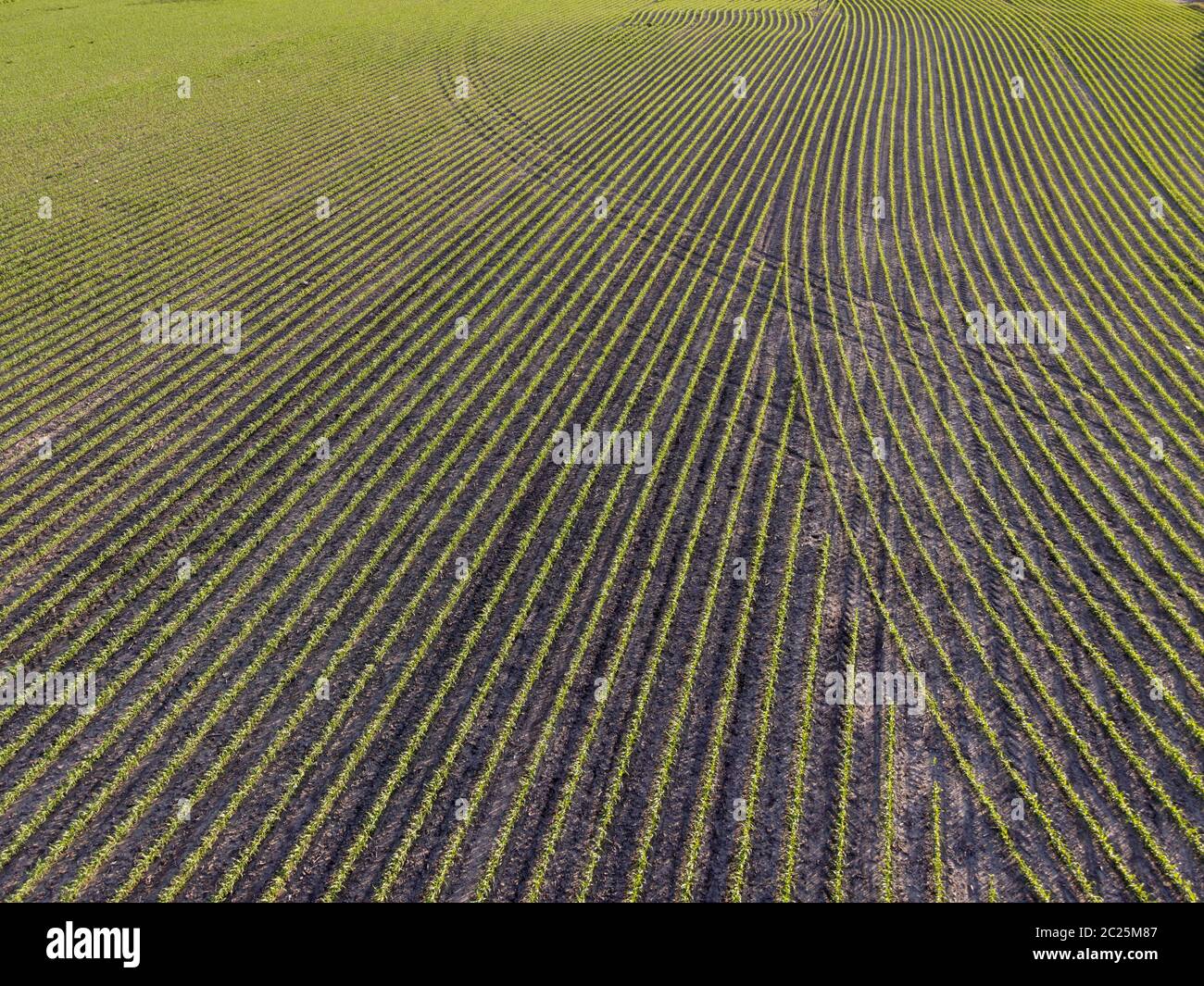 Aerial view of a Farming pattern Stock Photo - Alamy