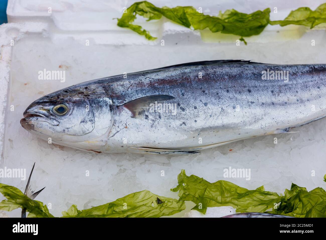 Lampuga fish at market Stock Photo - Alamy