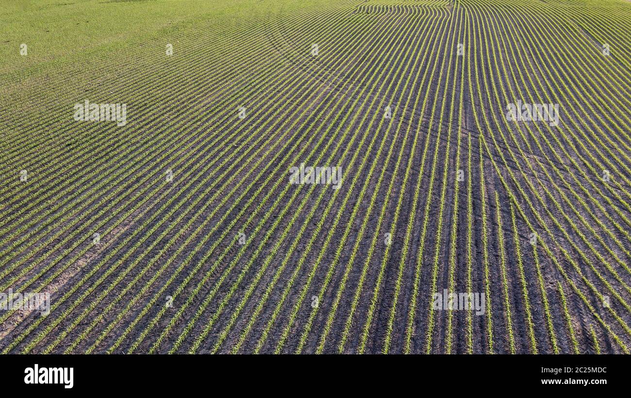 Aerial view of a Farming pattern Stock Photo - Alamy