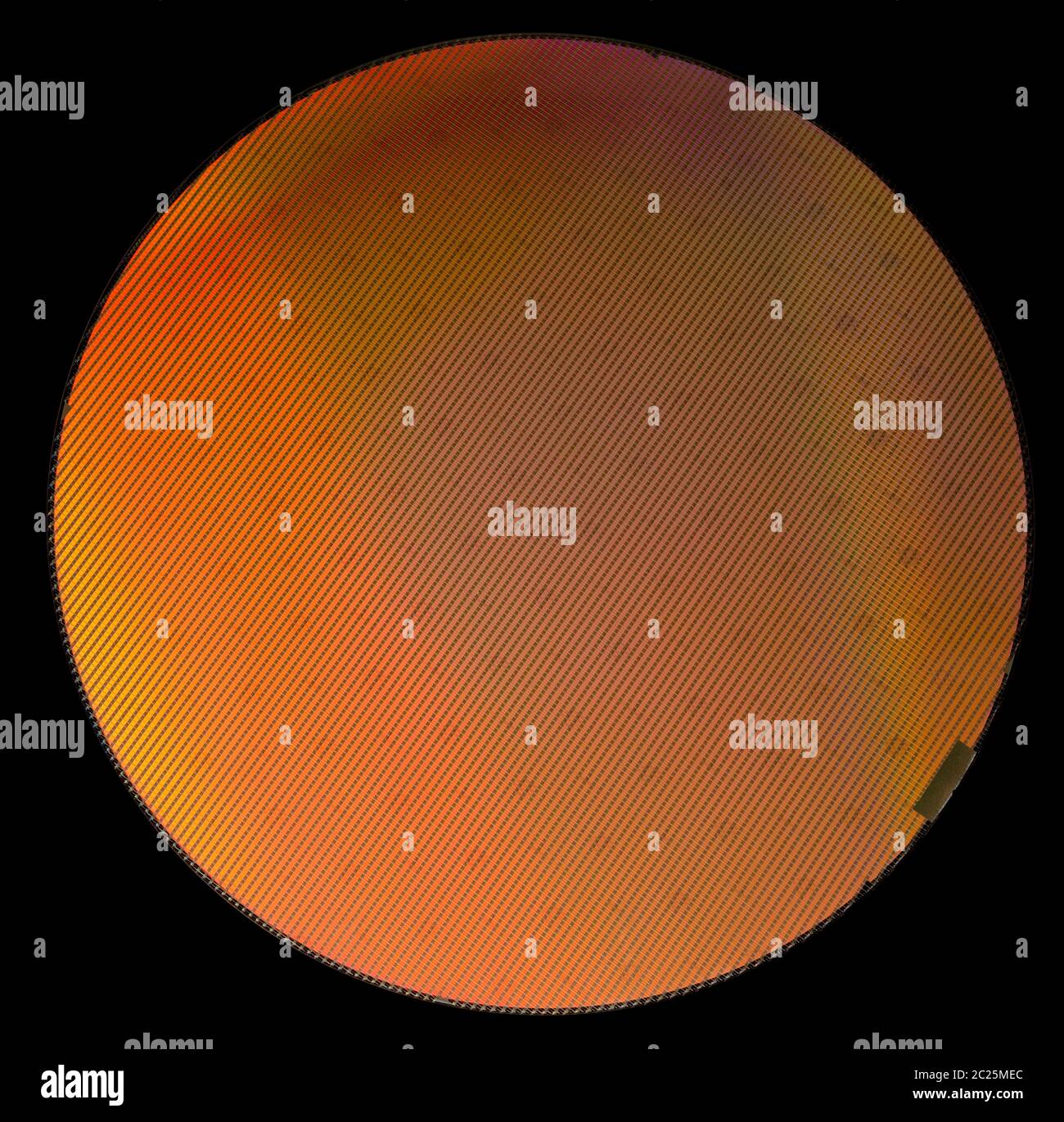 frontal shot of a wafer in black back Stock Photo - Alamy