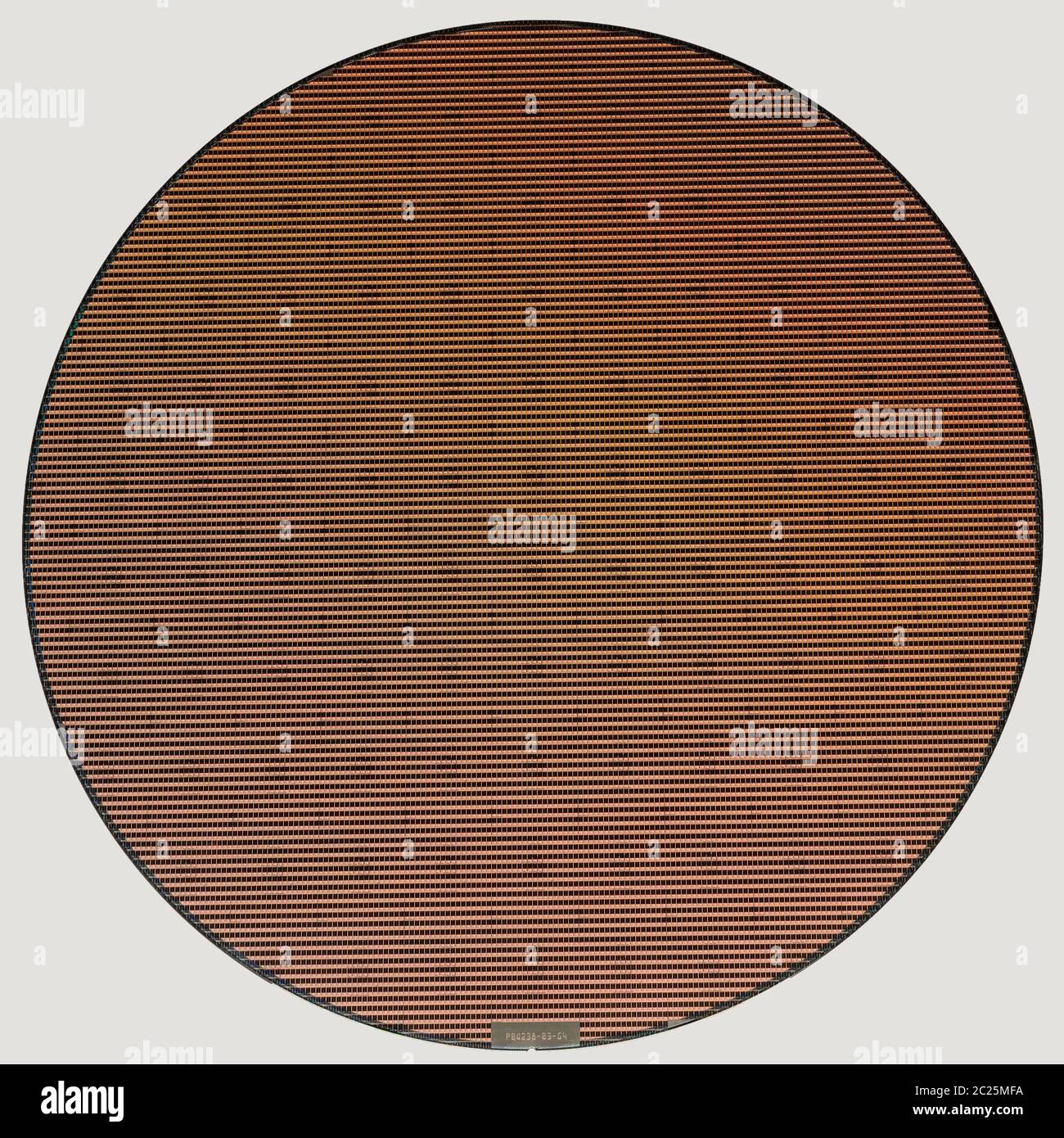 frontal shot of a wafer in grey back Stock Photo - Alamy