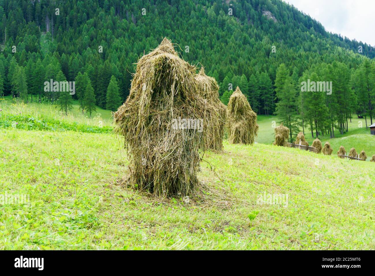 Haystack on a Field Stock Photo - Alamy