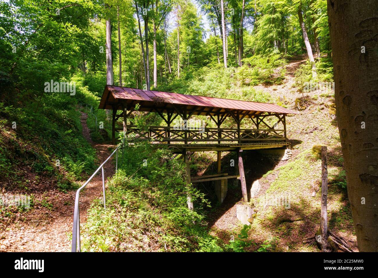 Forest path and wooden bridge hi-res stock photography and images - Alamy