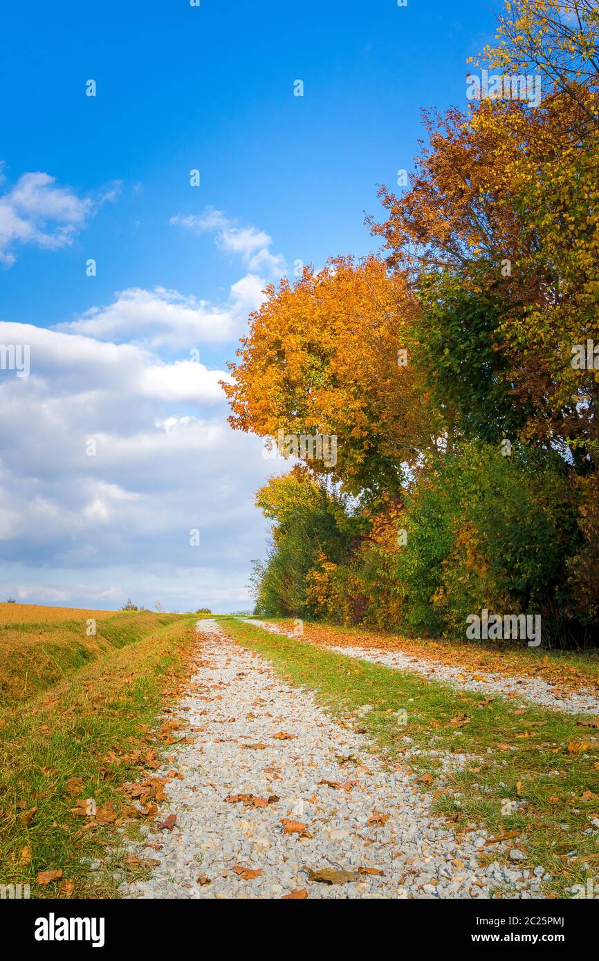 Indian summer autumn hi-res stock photography and images - Alamy