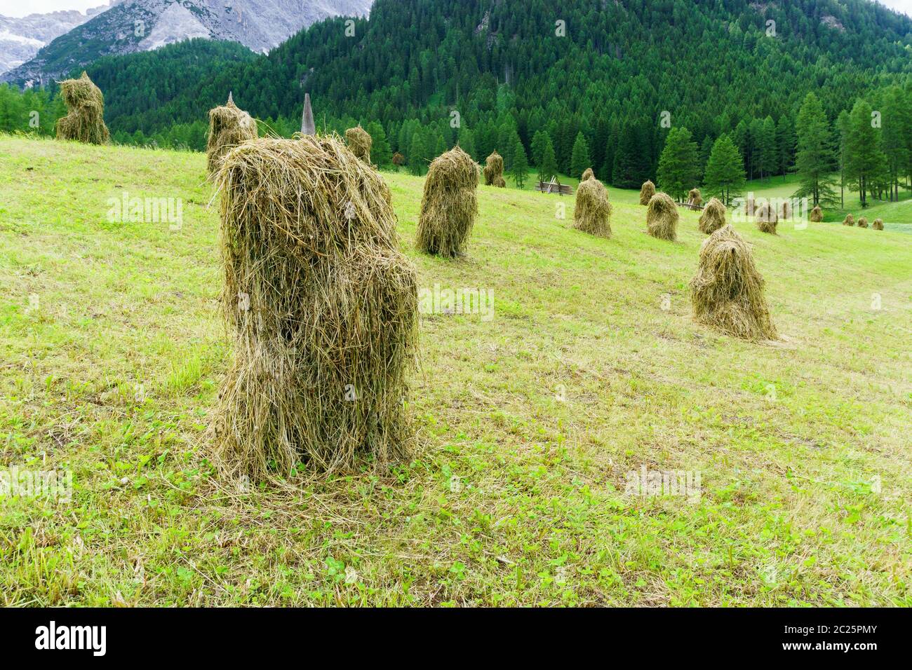 Landscape with a haystack hi-res stock photography and images - Alamy