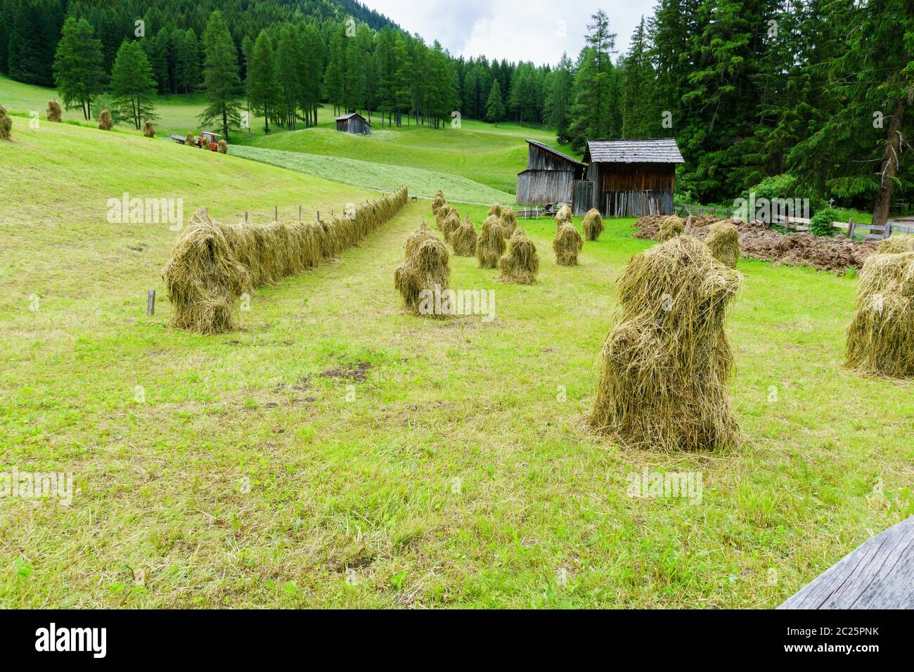 Haystack on a Field Stock Photo - Alamy
