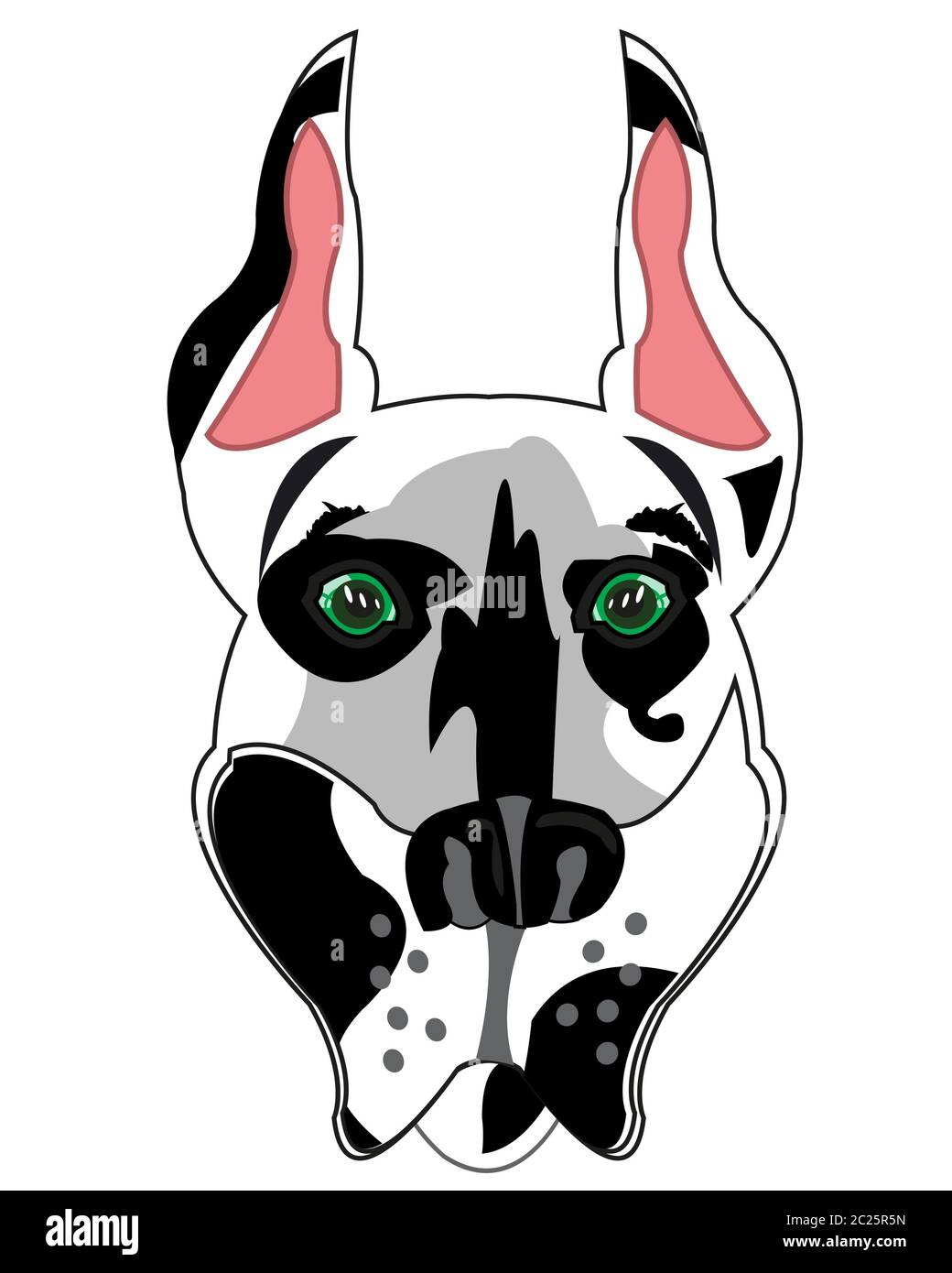 Portrait of the dog spotted doberman on white background is insulated ...