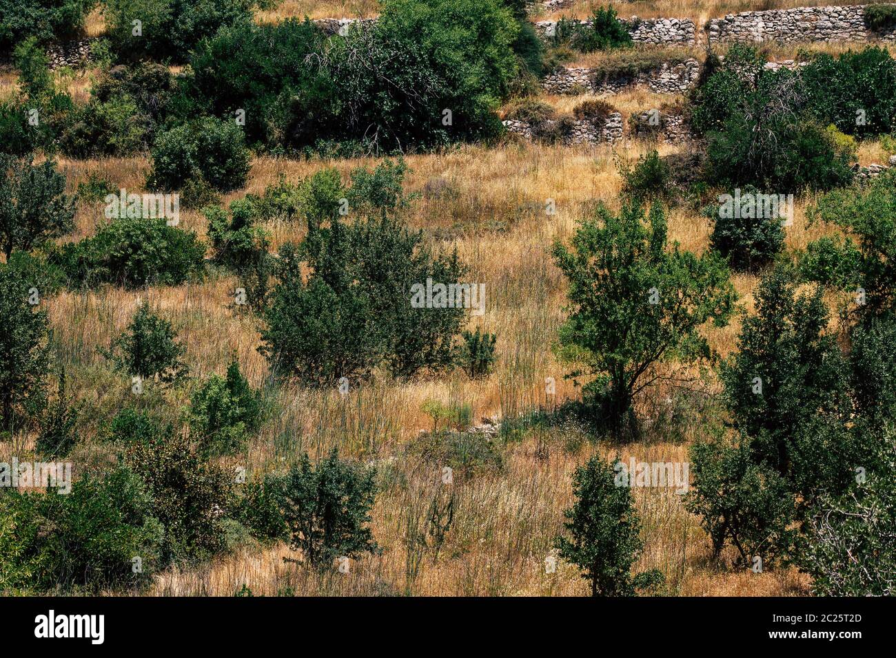 Jerusalem Israel June 21, 2019 View of the landscape and nature at ...