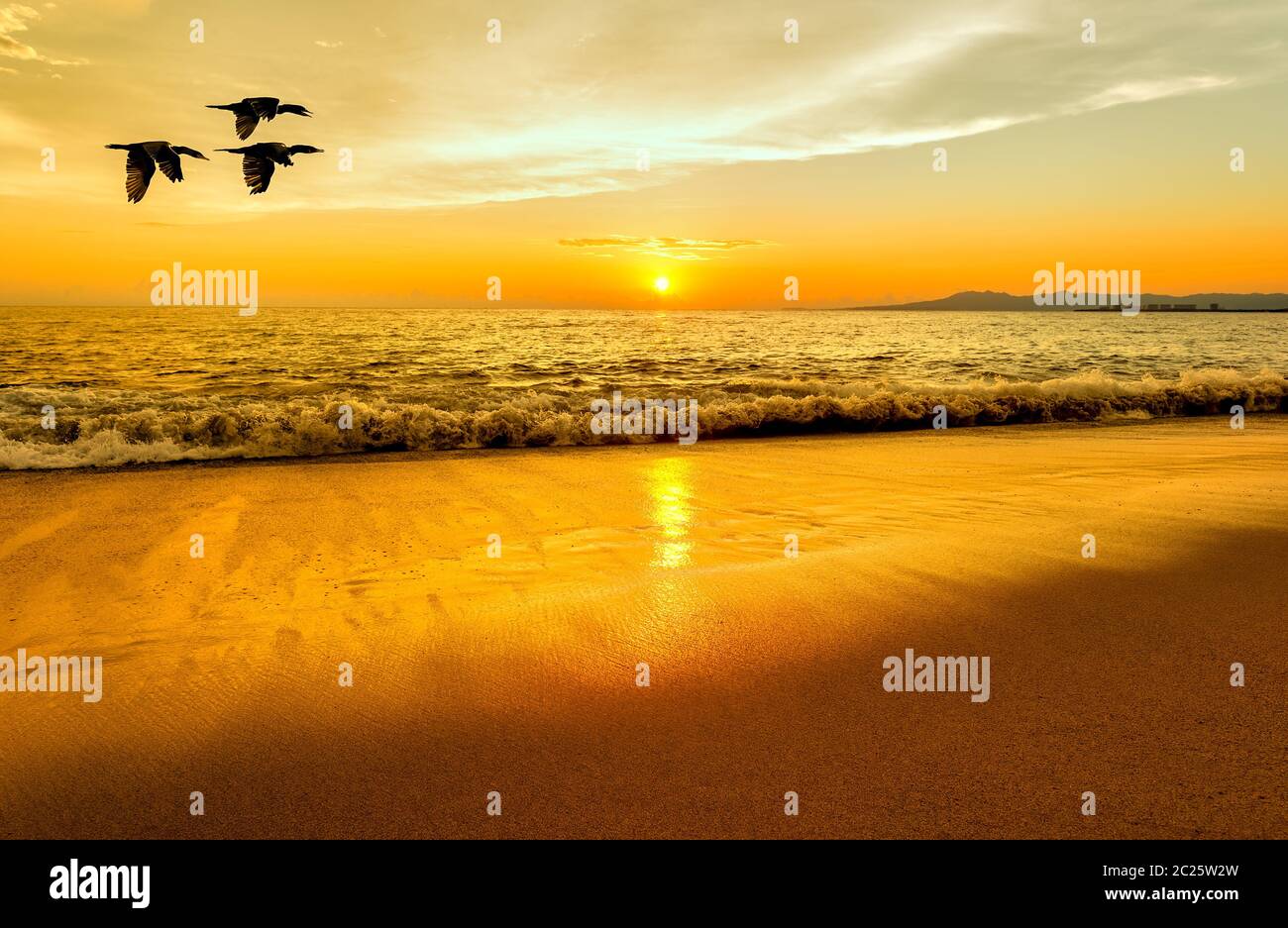 A Small Flock of Birds Flying Over the Ocean Waves at Sunset Stock ...