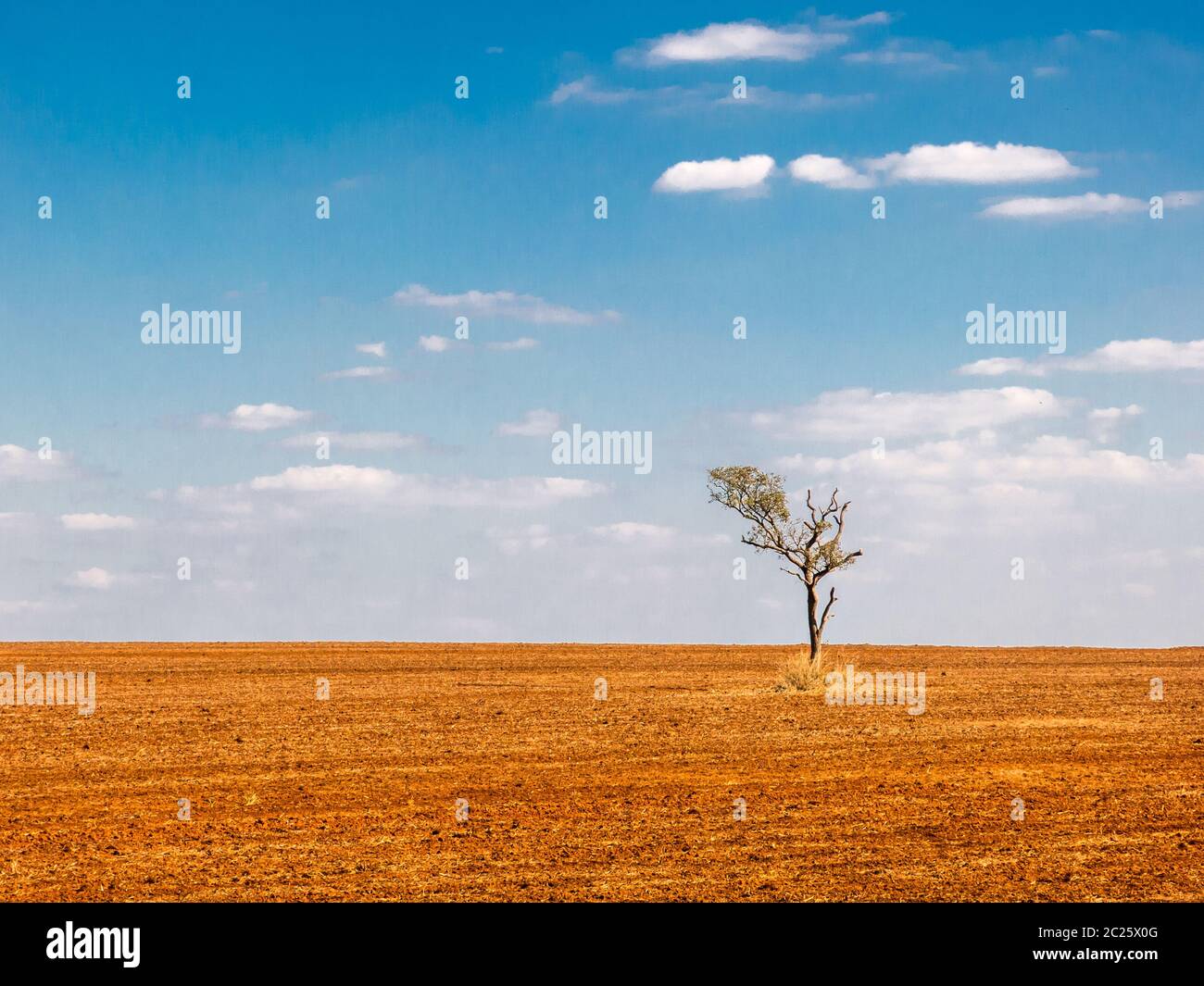 Devastated land hi-res stock photography and images - Alamy