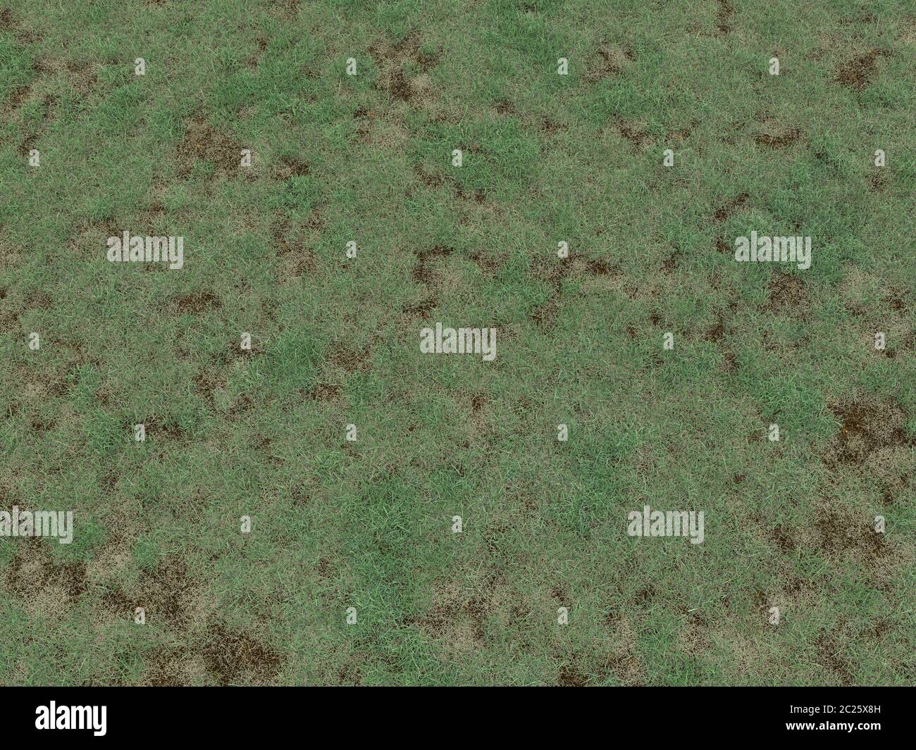 Meadow texture hi-res stock photography and images - Alamy