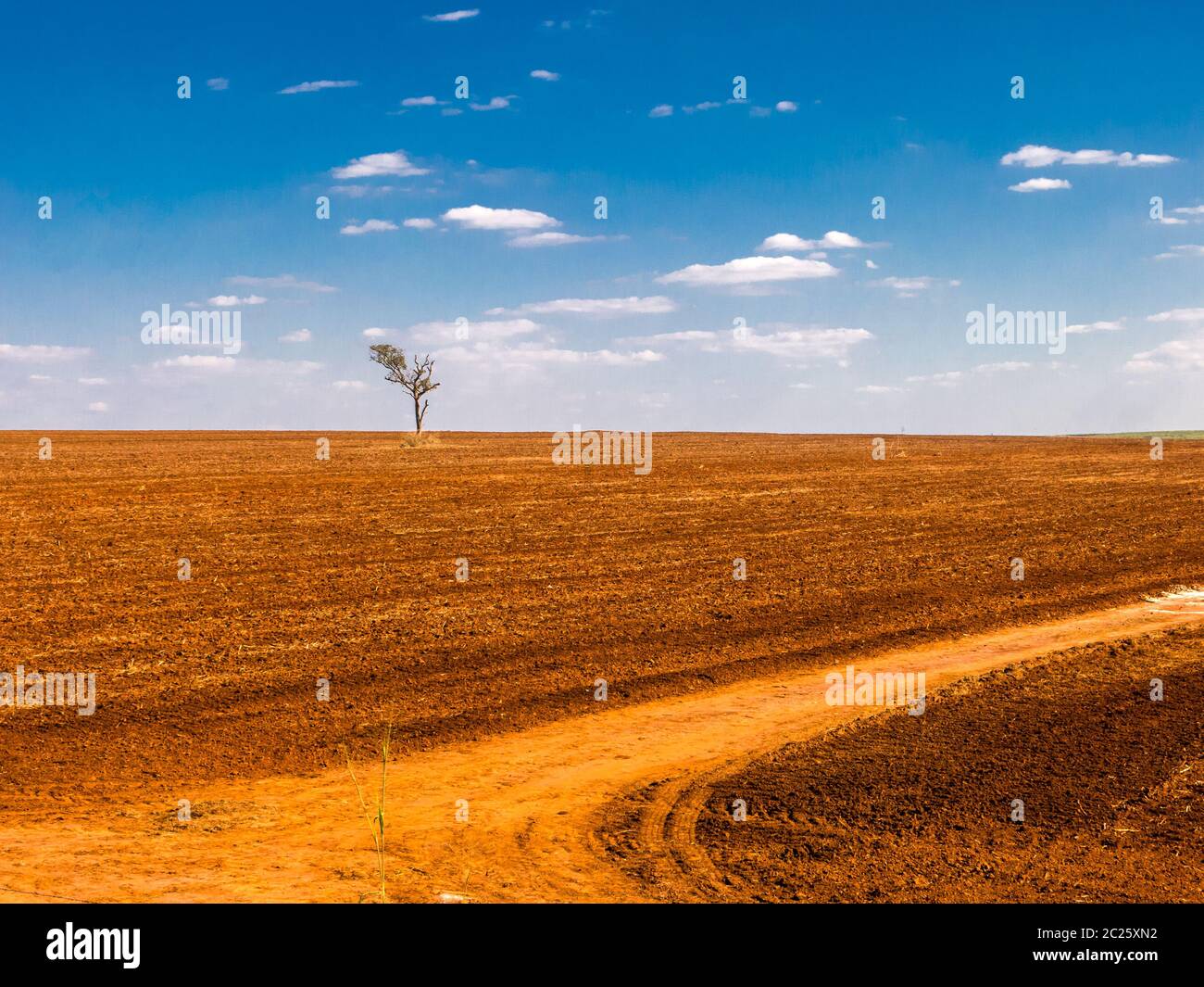 Devastated land hi-res stock photography and images - Alamy