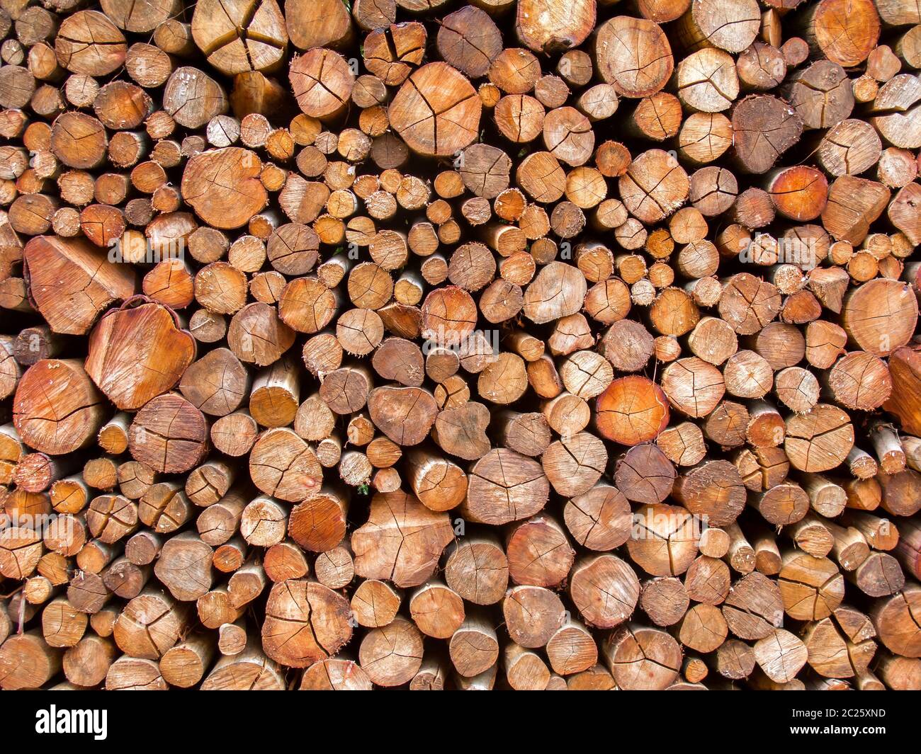 Fire wood texture - pattern Stock Photo - Alamy