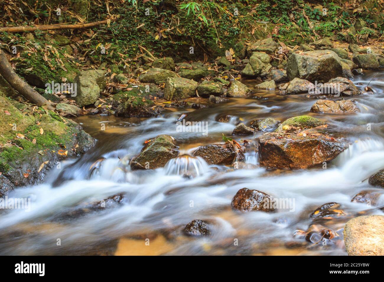 rainforest waterfall and rocks covered with moss in stream Stock Photo ...