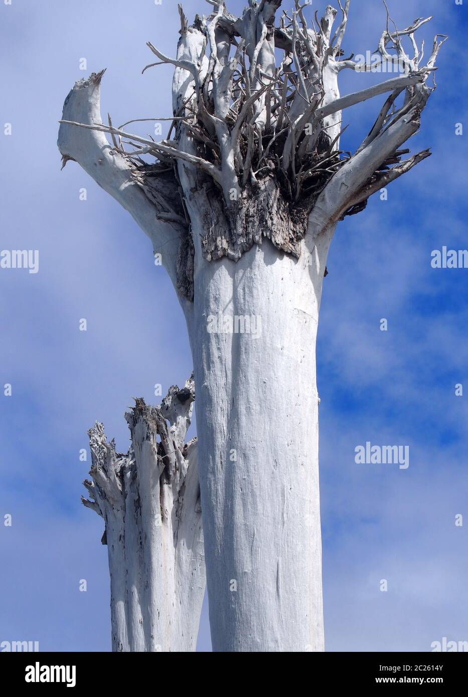 Stark white hi-res stock photography and images - Alamy