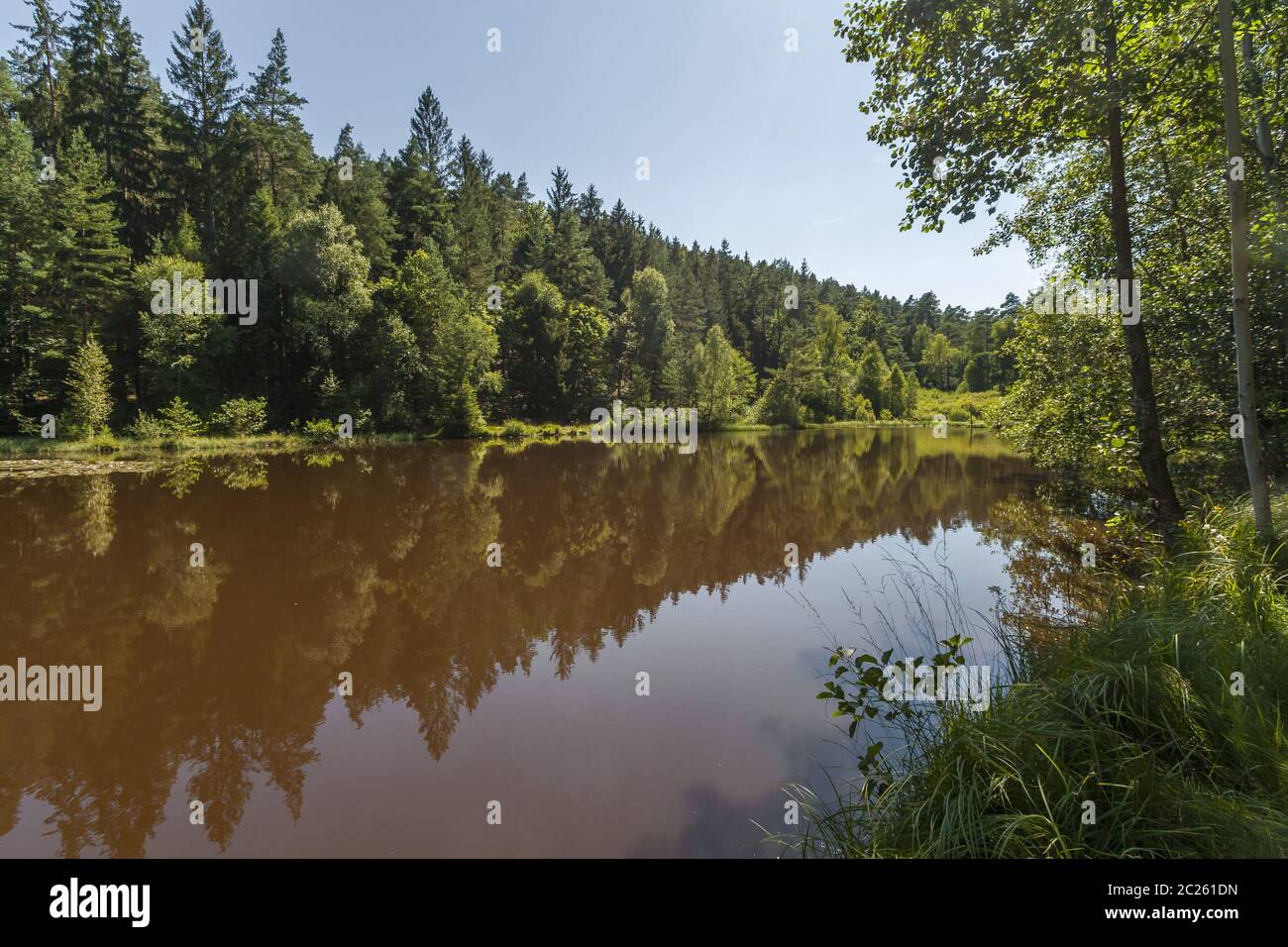 Pfaelzerwald hi-res stock photography and images - Alamy
