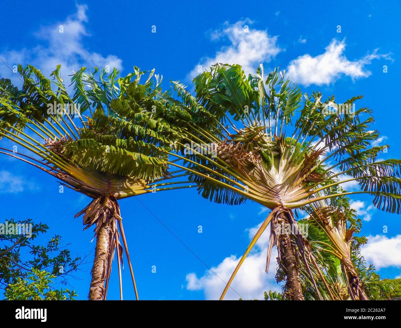 Twenty-Three Colored Earth, Mauritius Island Stock Photo - Alamy
