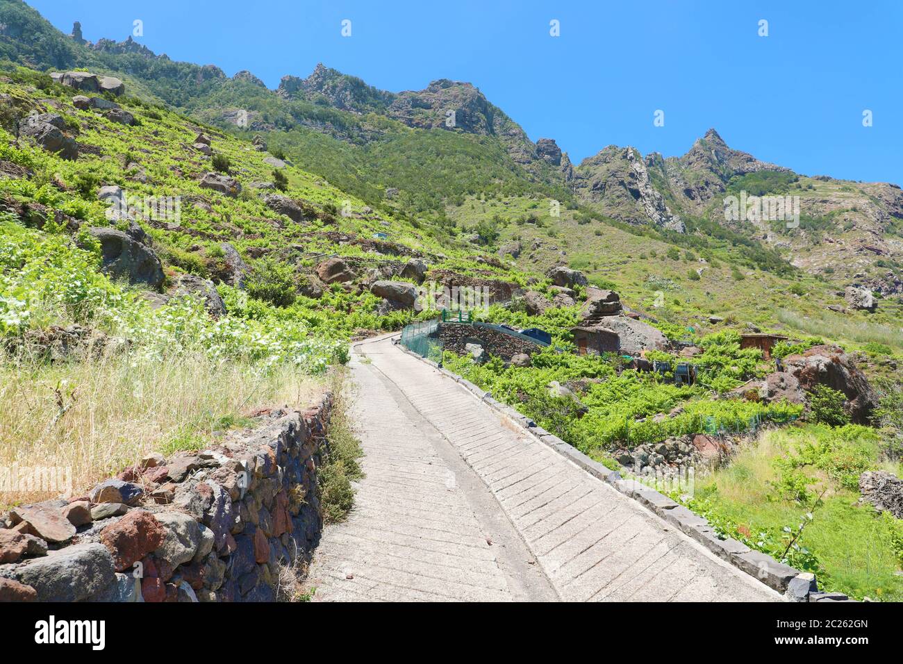 Mountain landscape trail at Rural Park of Anaga, Tenerife Stock Photo ...