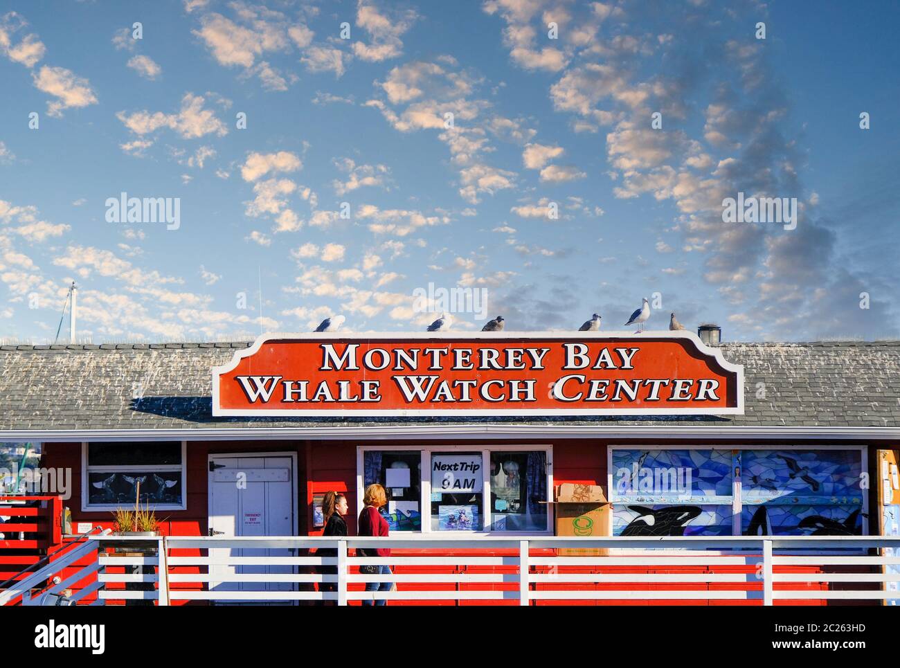 Whale watch center hi-res stock photography and images - Alamy