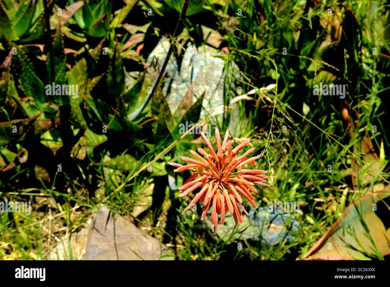 Muden hi-res stock photography and images - Alamy