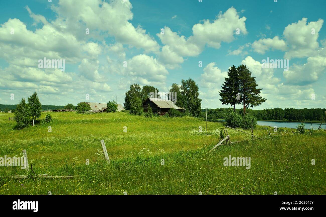 Russian summer meadow Stock Photo - Alamy