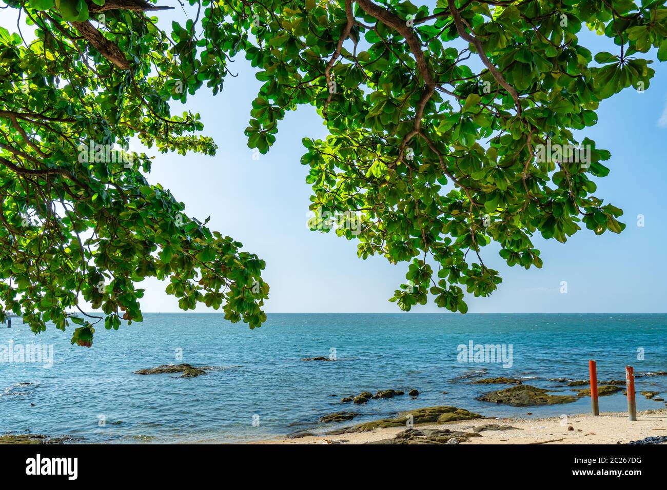 Umbrella tree at sand beach of tropical sea. Summer vacation at the ...