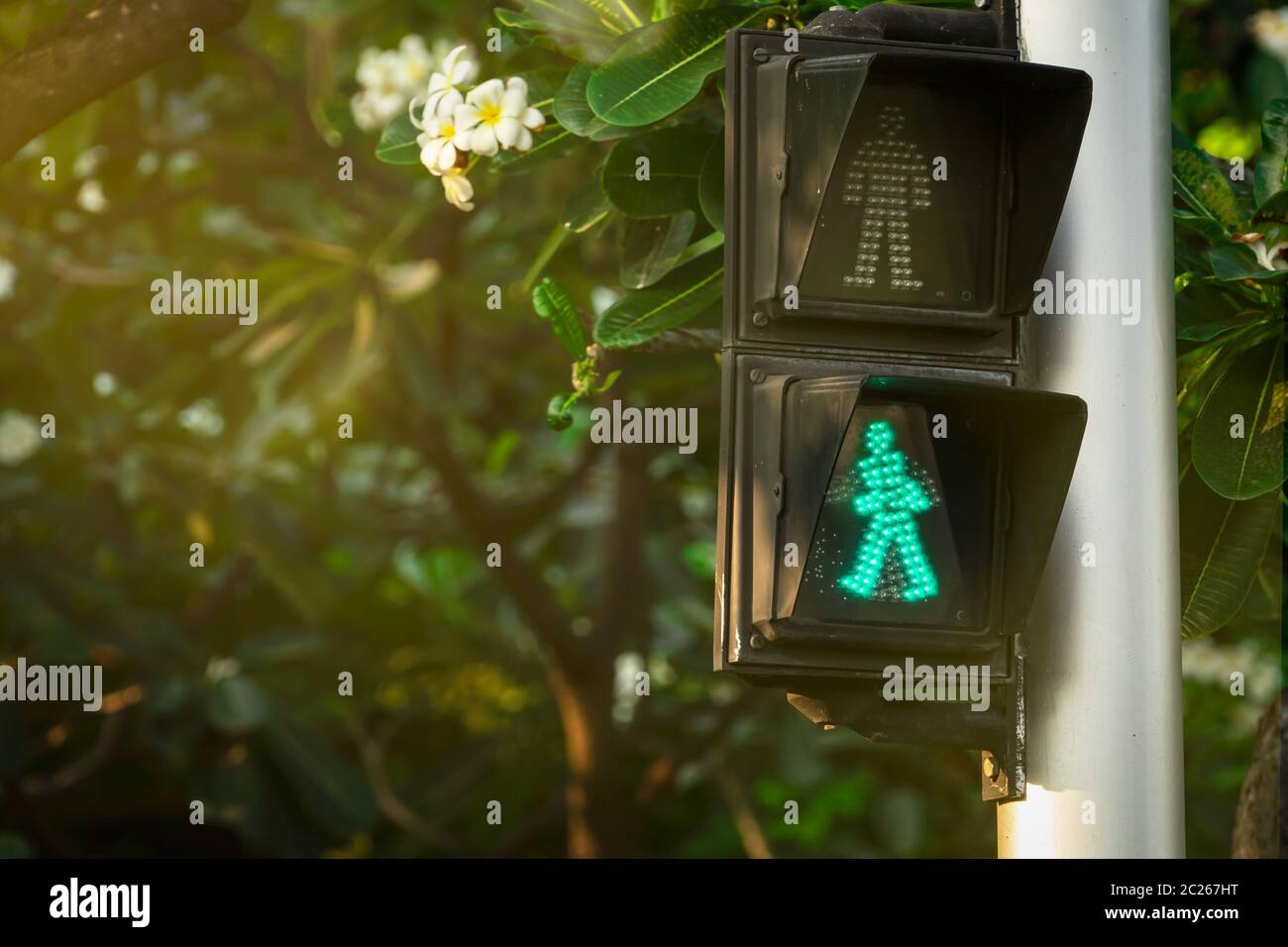 Pedestrian signals on traffic light pole. Pedestrian crossing sign for ...