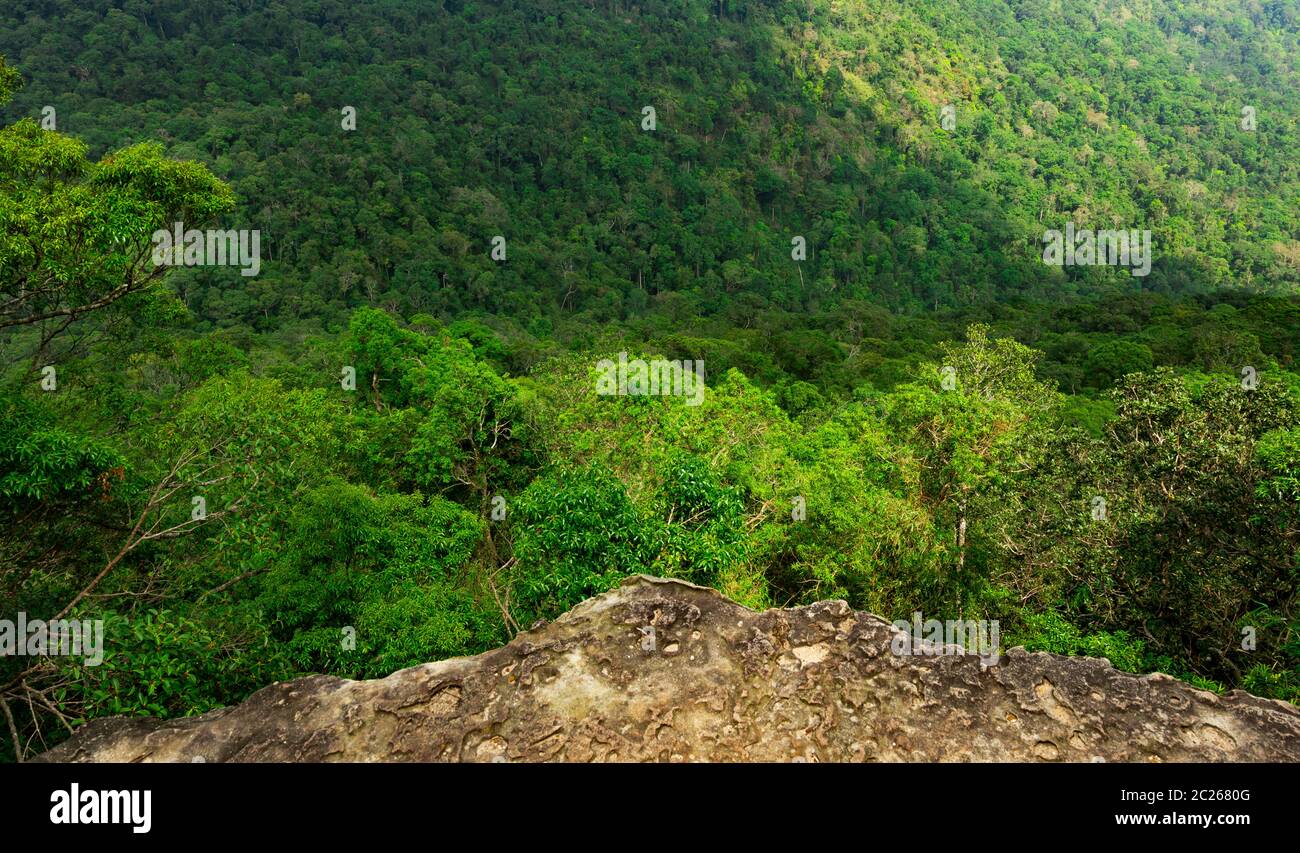 Beautiful view from peak of cliff at the mountain in tropical forest ...