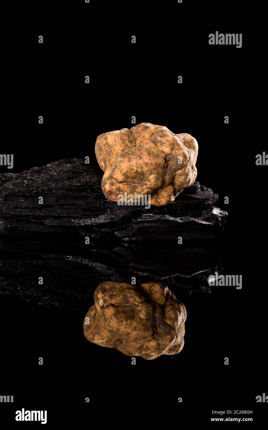 White truffle (tuber magnatum) on black Stock Photo - Alamy