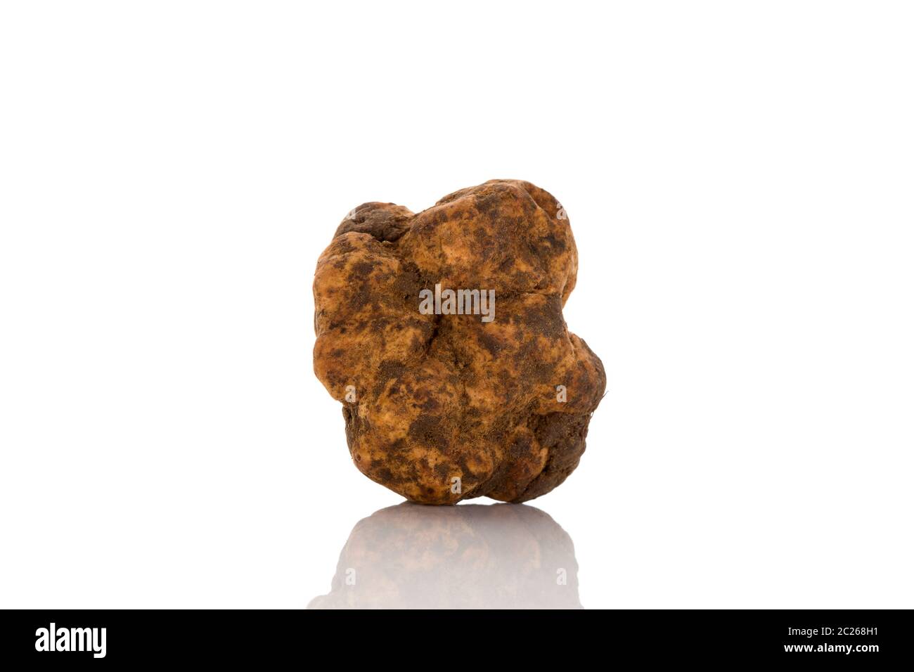 White truffle (tuber magnatum) isolated on white Stock Photo - Alamy