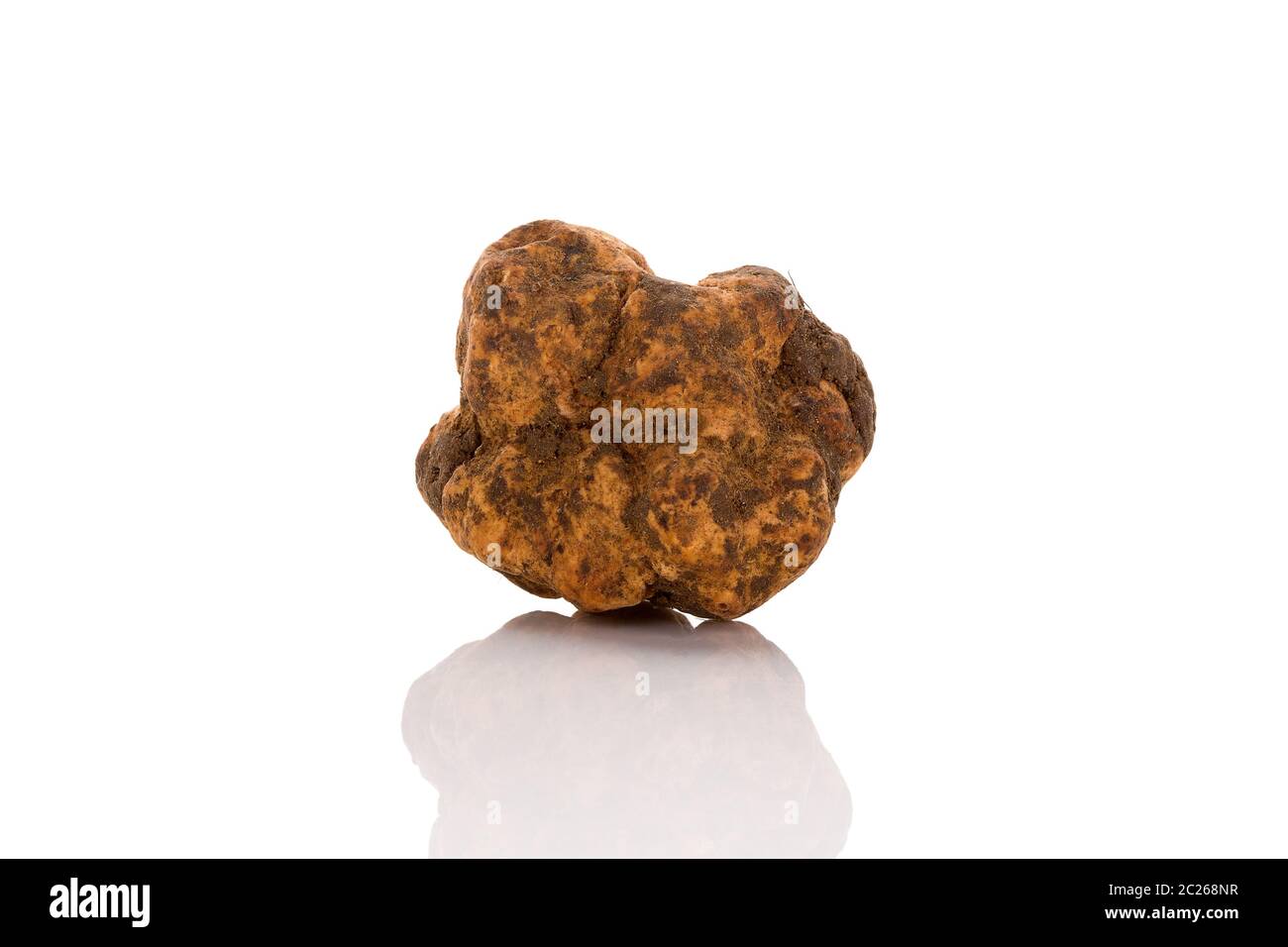 White truffle (tuber magnatum) isolated on white Stock Photo - Alamy