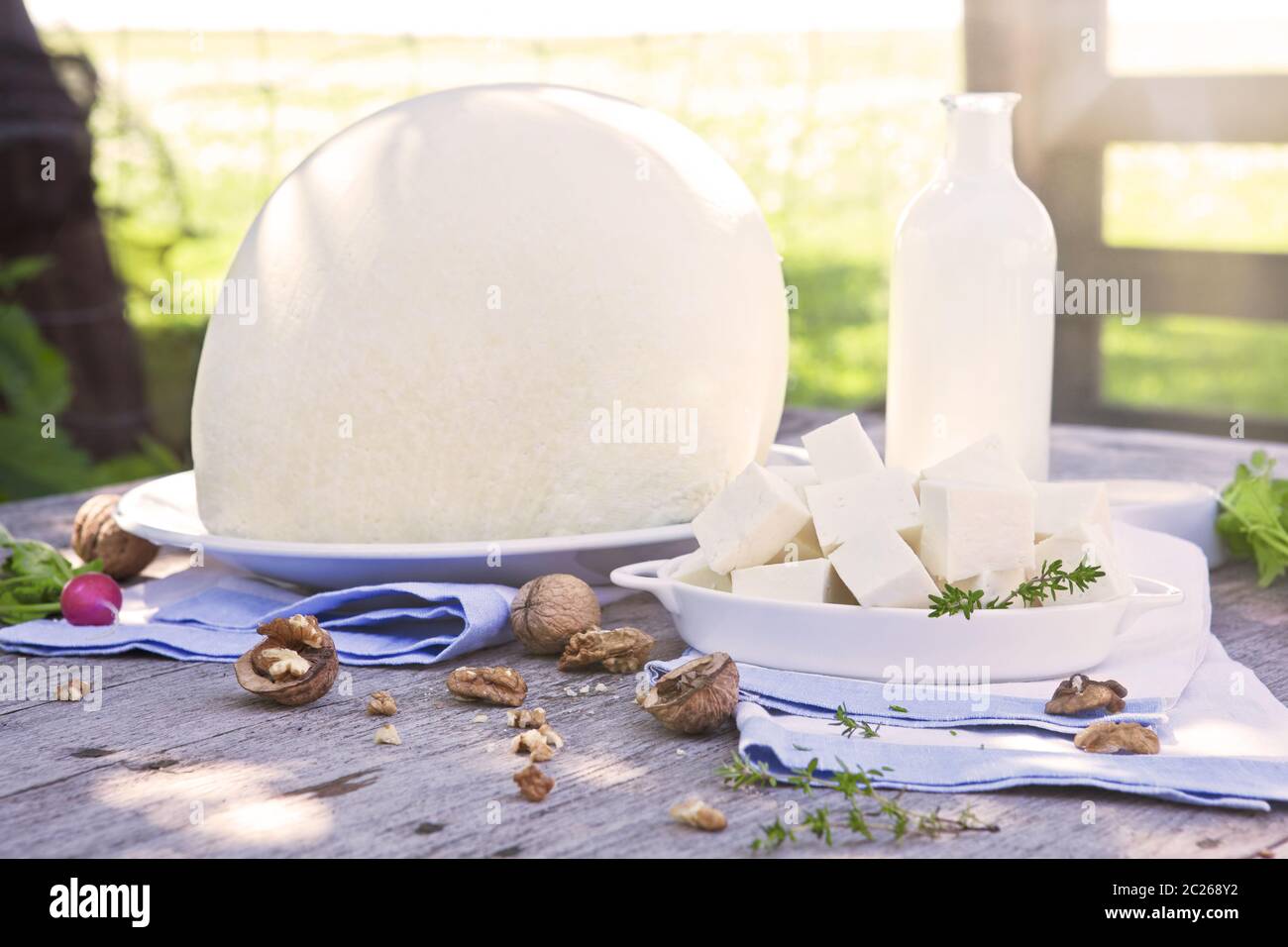 Traditional white sheep cheese Stock Photo - Alamy