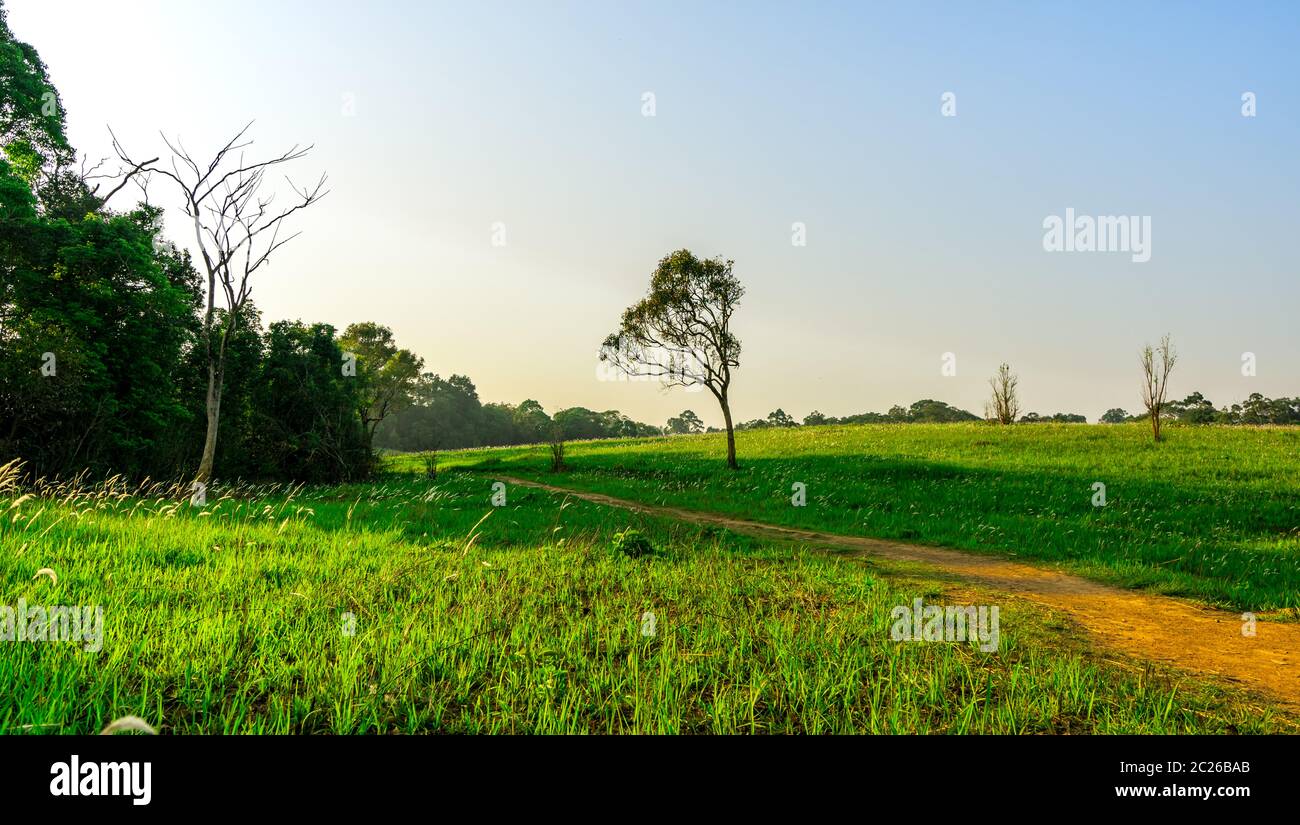 Beautiful rural landscape of green grass field with dusty country road ...