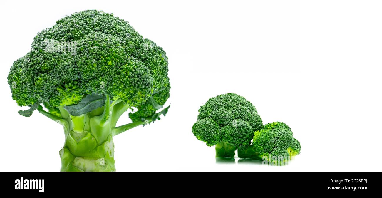 Set of green broccoli (Brassica oleracea). Vegetables natural source of ...