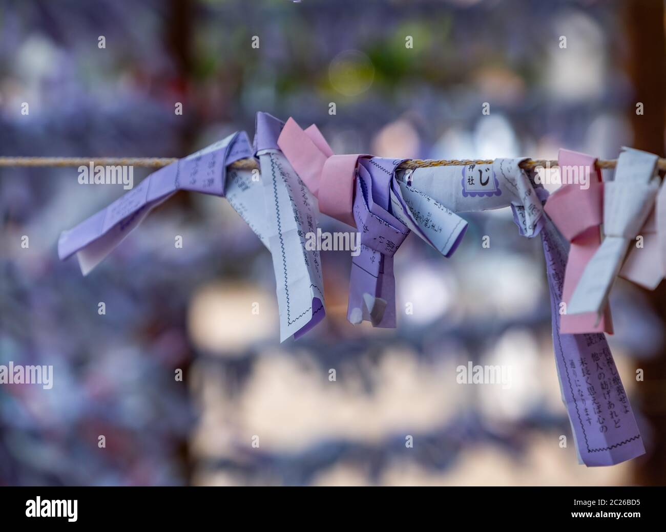 Random fortunes written on strips of paper or o-mikuji at Shinto ...