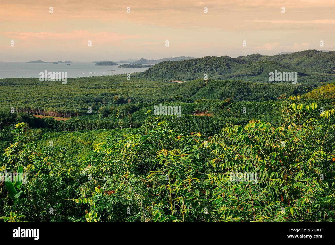 Aerial view smoky mountains trees hi-res stock photography and images ...