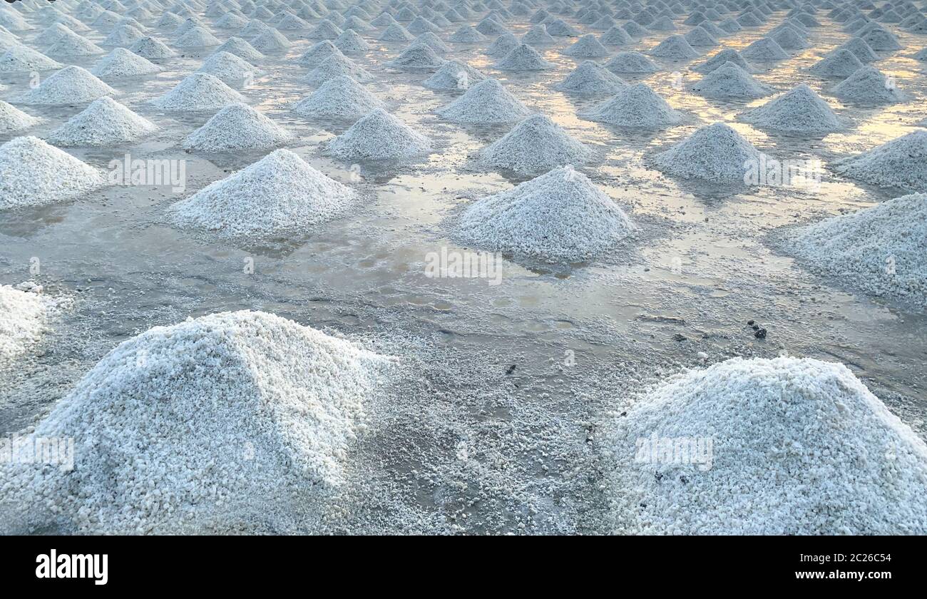 Brine salt farm at Samut Sakhon, Thailand. Organic sea salt ...